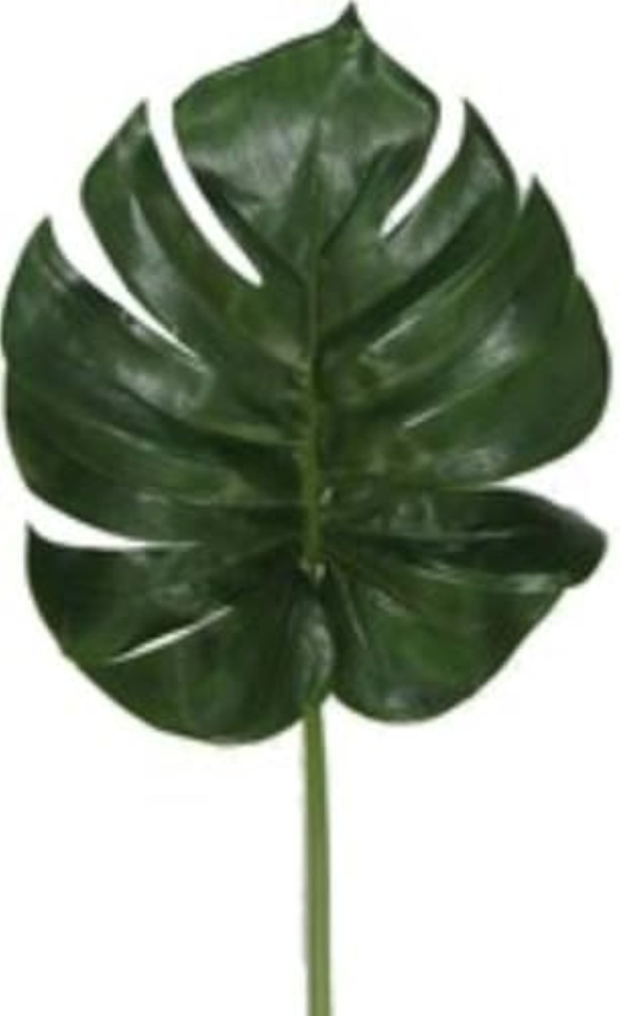 Primrue 4 Pack29" Real Touch Split Philo Leaf Stem | Wayfair